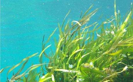 What is bio-based fabric? - Young Style Functional Fabric